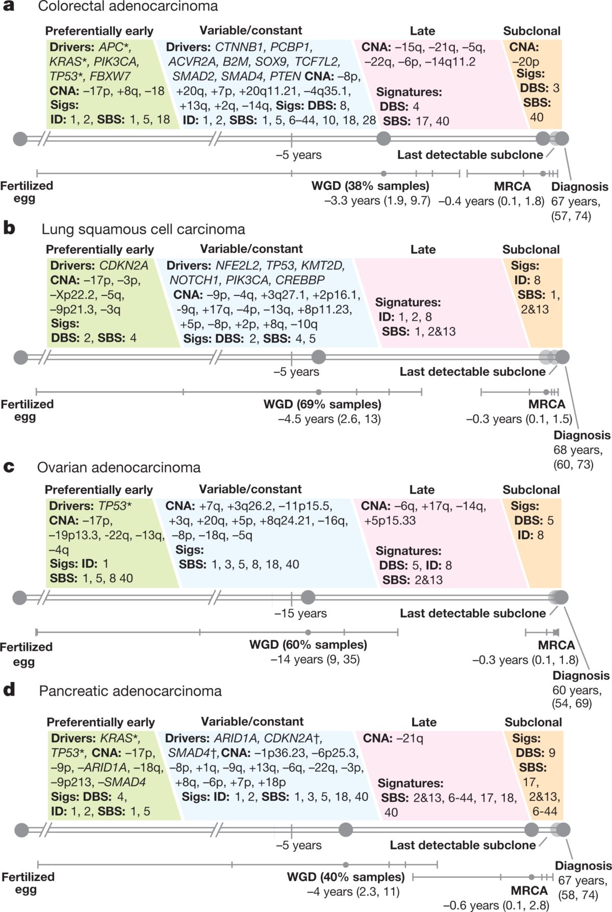 Genetics and evolution in cancer | Science-Based Medicine