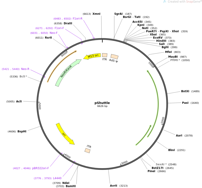 No, James Lyons-Weiler did not “break the coronavirus code” | Science ...
