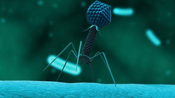 Phage Therapy and Antibiotic Resistance | Science-Based Medicine