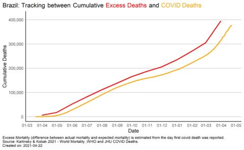 Deaths and Excess Deaths in Brazil | Science-Based Medicine