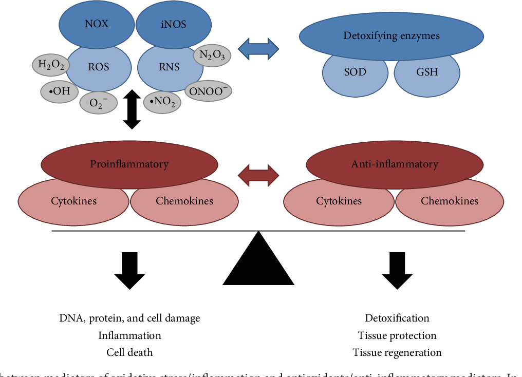 Buzzword Medicine – Anti-Proinflammation | Science-Based Medicine