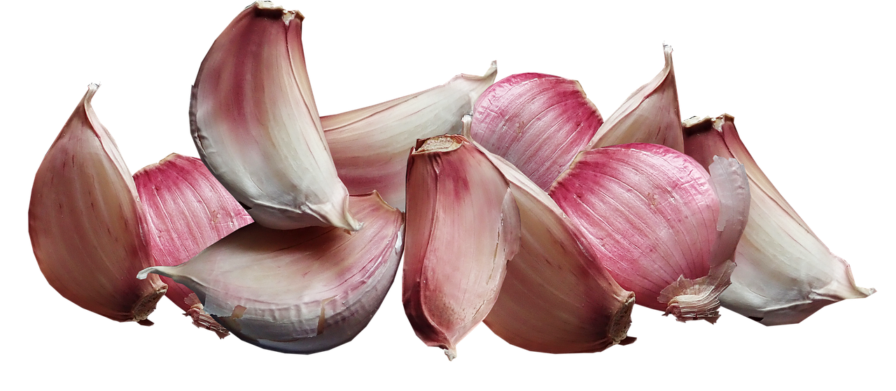 Garlic, the fragrant panacea | Science-Based Medicine