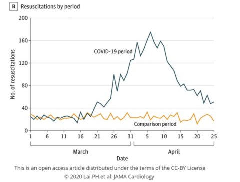 Brownstone uses flawed data analysis to minimize COVID in NYC; An NYC ...