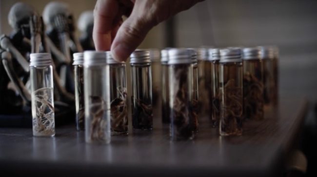 Died Suddenly: A tsunami of antivax misinformation and conspiracy ...