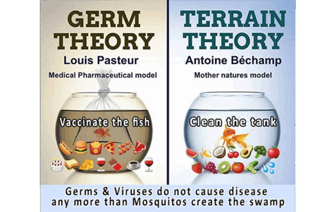 Denial of germ theory and the genetic basis of disease: Two pillars of ...