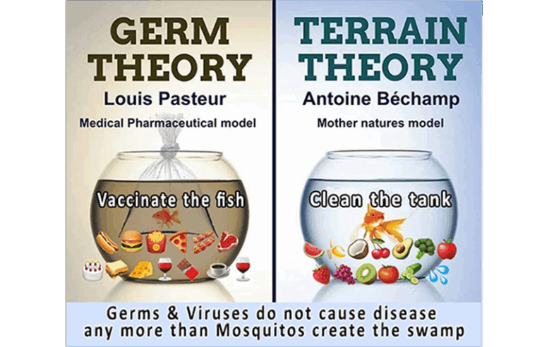 Denial of germ theory and the genetic basis of disease: Two pillars of ...